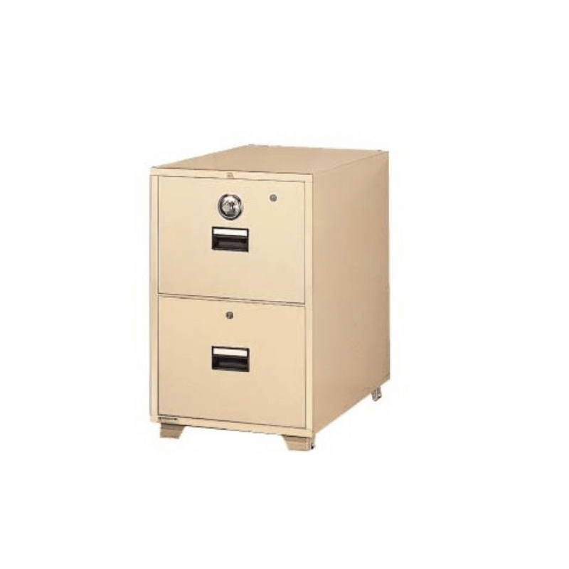 LION 2 Drawer Fire Resistant Cabinet FR2